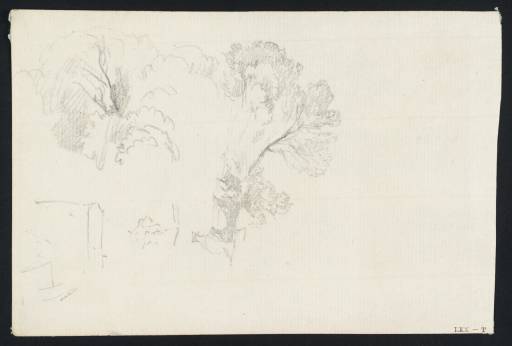 ‘Trees’, Joseph Mallord William Turner, c.1800–2 | Tate