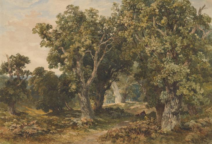 ‘In Richmond Park’, William Bennett, 1852 | Tate