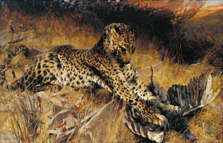 Arthur Wardle 1864–1949 | Tate