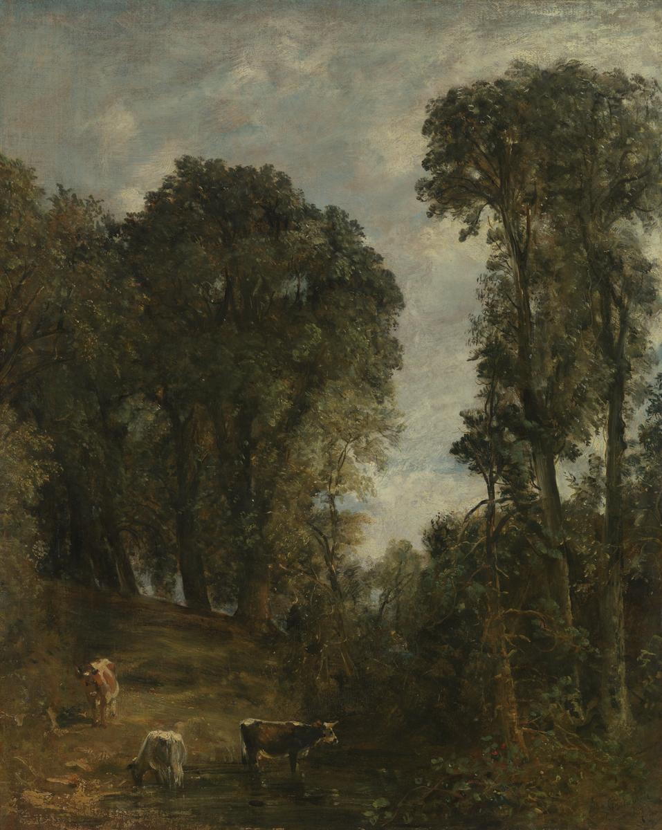 ‘Trees at Hampstead’, John Constable, 1829 | Tate
