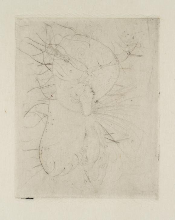 no title]’, Wols (Alfred Otto Wolfgang Schulze), c.1937–50 | Tate