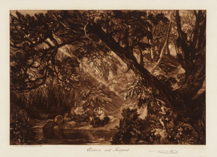 ‘Aesacus and Hesperie’, Sir Frank Short, published 1896 | Tate