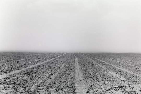 Discover Photography | Tate