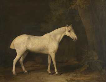 ‘A Couple of Foxhounds’, George Stubbs, 1792 | Tate