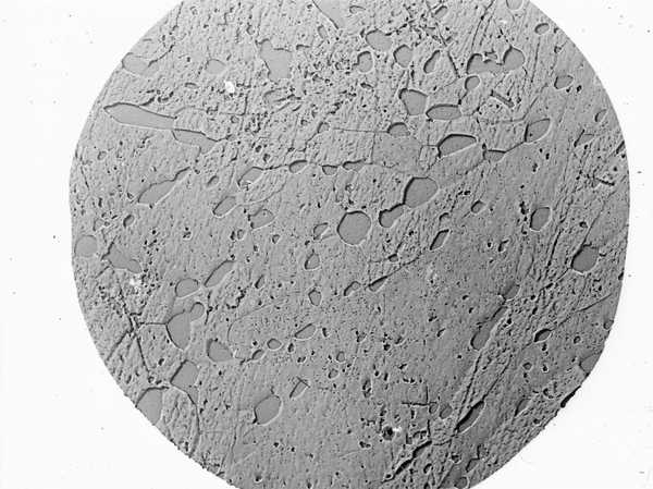 Photograph of a crystal or organism through a microscope‘, Anonymous ...