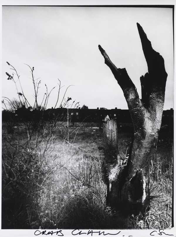 ‘Crab Claw‘, Chris Shaw, 2007–12 | Tate