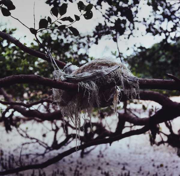 ‘Channel #25‘, Simryn Gill, 2014 | Tate