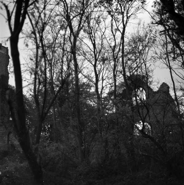 Photograph of Wimpole’s Folly in the grounds of Wimpole Hall ...