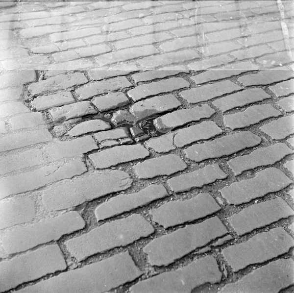 Photograph possibly showing a texture study of a path‘, Nigel Henderson ...