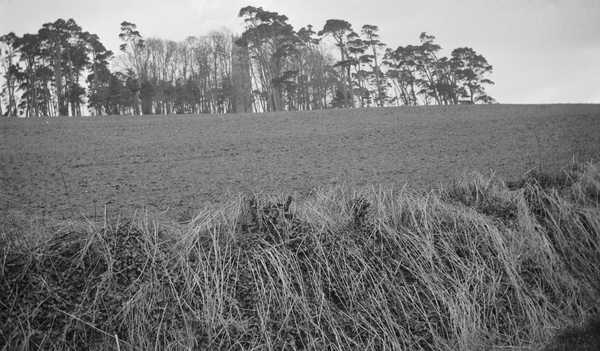 Black and white negative, Lord Berners’ Folly, Faringdon, Berkshire ...