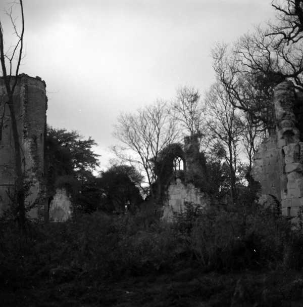 Photograph of Wimpole’s Folly in the grounds of Wimpole Hall ...