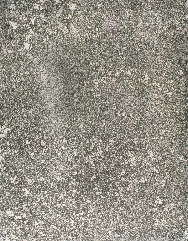 ‘Grain‘, Colin Self, 1970–1 | Tate