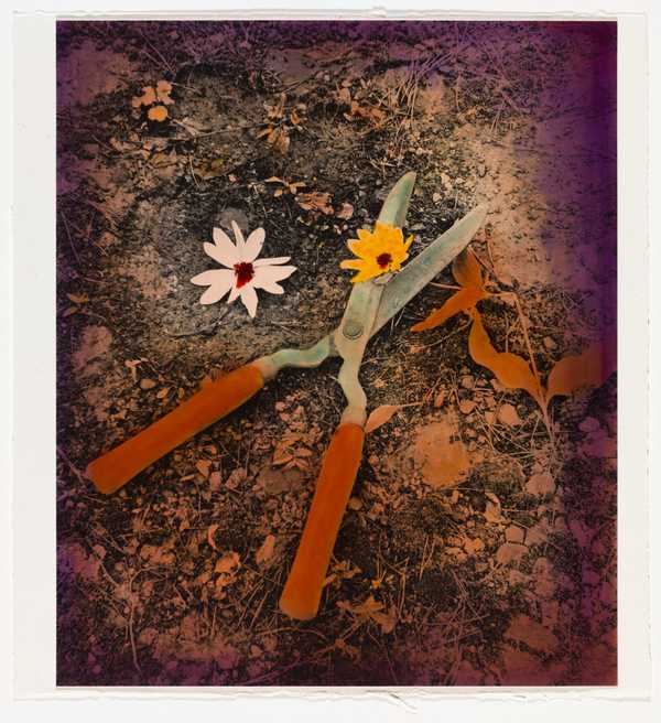 no title]‘, Li Yuan-chia, 1993 | Tate