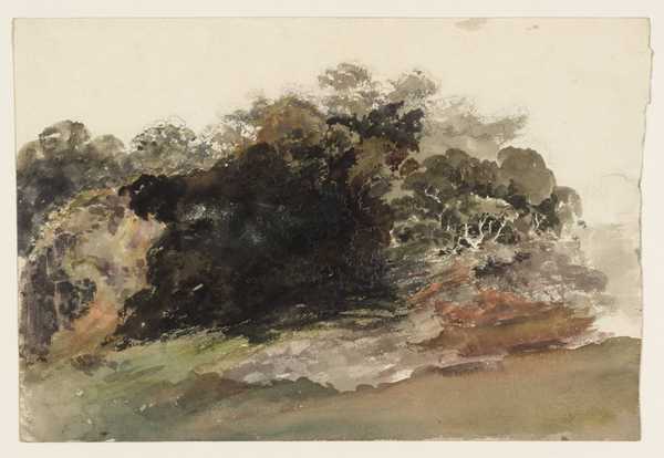 ‘Study of Trees. Verso: Hilly Landscape‘, Cornelius Varley | Tate