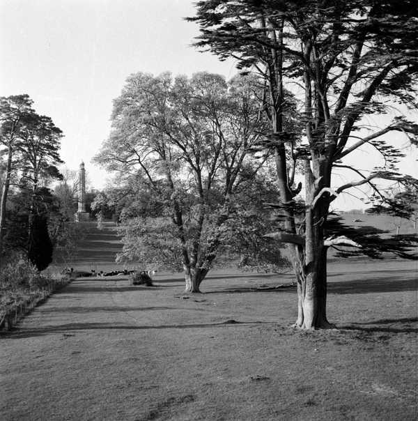 Photograph of Cobham Pillar in Stowe, Buckinghamshire‘, John Piper, [c ...