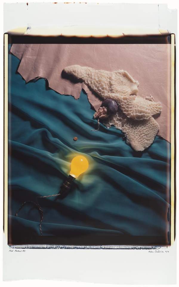 ‘No. 4: Tripe‘, Helen Chadwick, 1989 | Tate