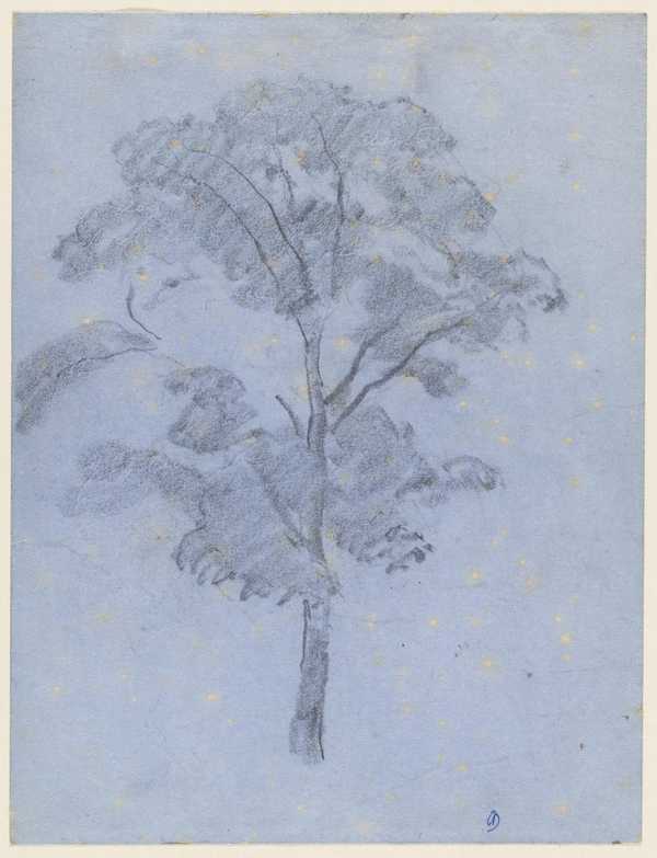 Drawing of a tree with address inscribed on the reverse‘, Algernon ...