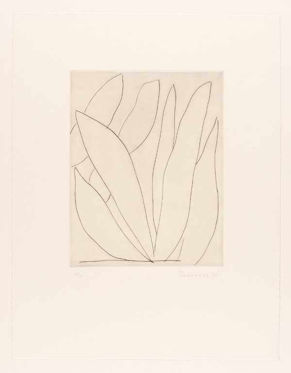 ‘Leaves - Drypoint II‘, William Turnbull, 1972 | Tate