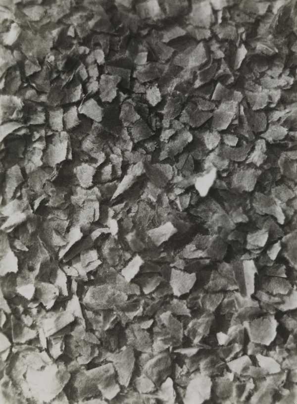 ‘Untitled (Sheets of Paper)‘, Herbert Schurmann, c.1932 | Tate