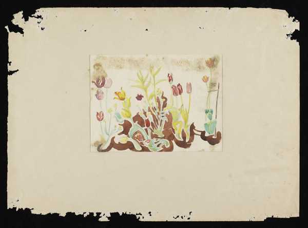 Watercolour showing flowers‘, Ithell Colquhoun, [c.1927–30]‘, Ithell ...