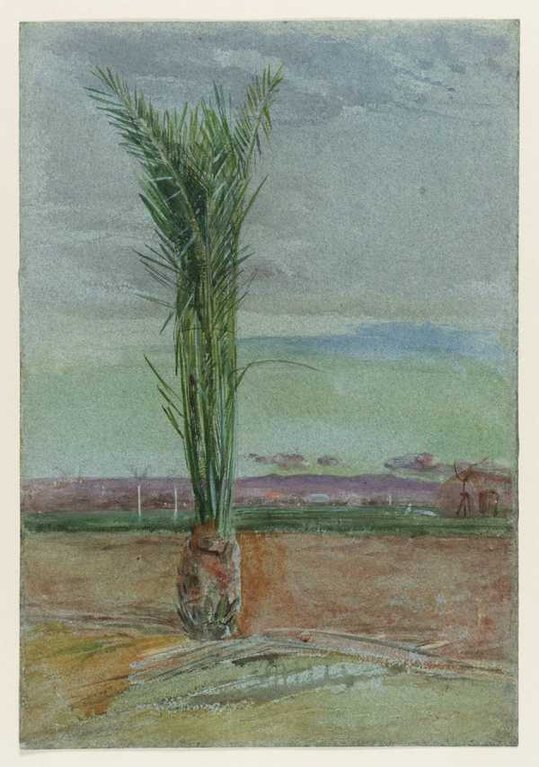 ‘A Young Palm, Valentia‘, John William Inchbold, 1865 | Tate