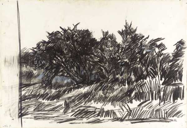 Peter Coker 1926–2004 | Tate