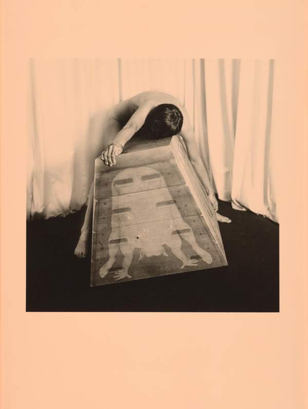 ‘The Labours VIII‘, Helen Chadwick, 1986 | Tate