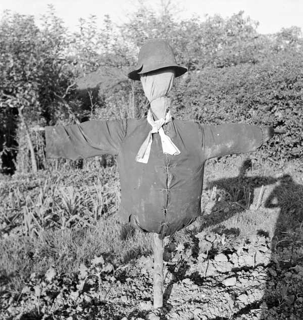 Photograph of a scarecrow taken near P.L. Travers’ house in Sussex ...
