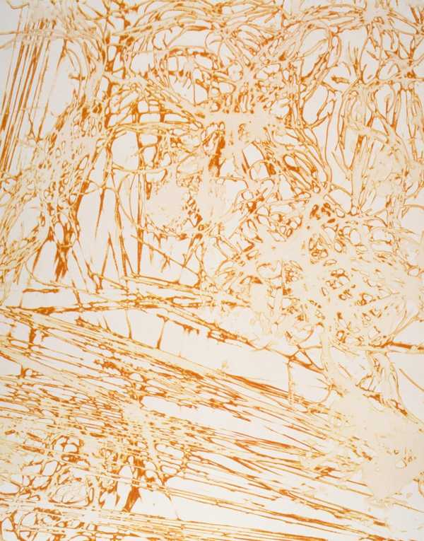 ‘Spaghetti‘, Colin Self, 1970–1 | Tate