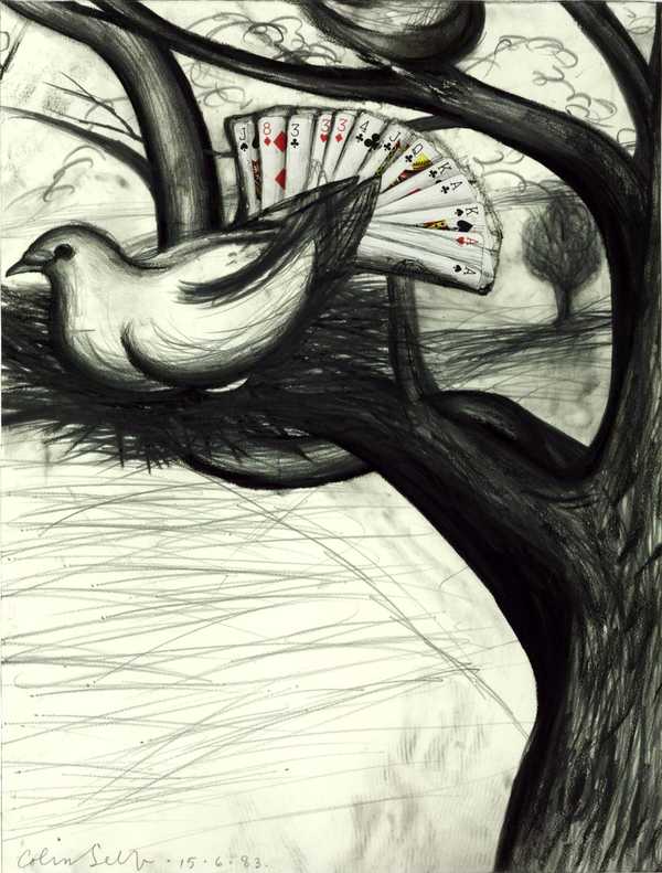 ‘Fantail Pigeon on Nest‘, Colin Self, 1983 | Tate