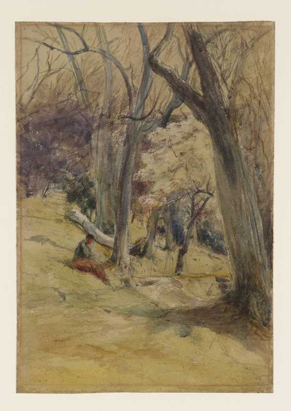 ‘A Sunlit Wood‘, John William Inchbold, 1861 | Tate