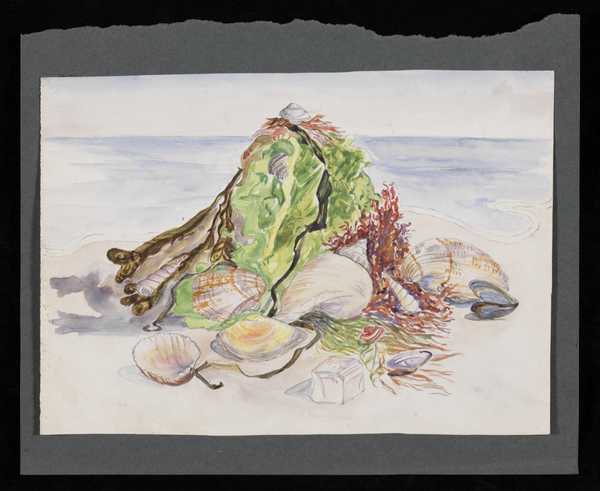 Watercolour titled ‘Seaside’‘, Ithell Colquhoun, November 1920‘, Ithell ...