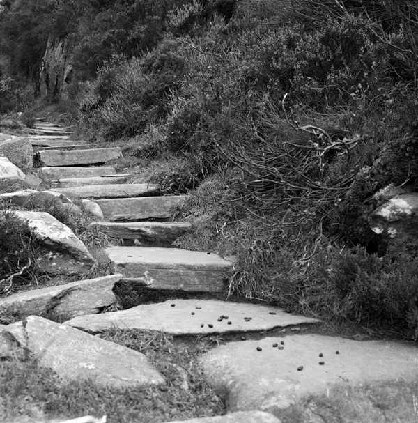 Photograph of Roman steps at Rhinog, Merioneth‘, John Piper, [c.1930s ...