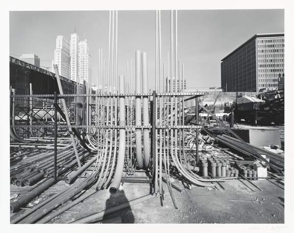 ‘Interior Wall Construction‘, Catherine Wagner, 1980–1 | Tate