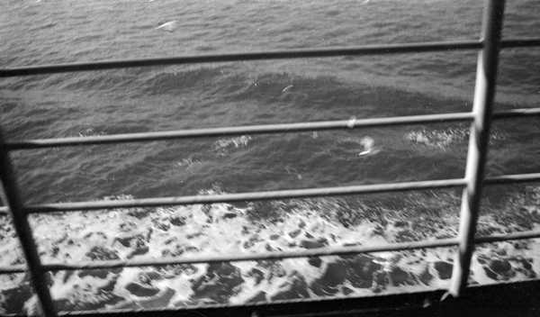 Black and white negative, ship’s railings and wash, Atlantic voyage ...