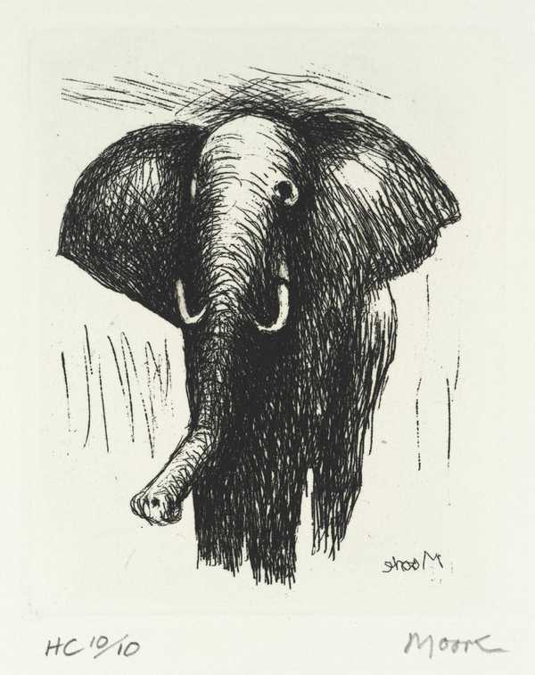 ‘Elephant‘, Henry Moore OM, CH, 1982 | Tate