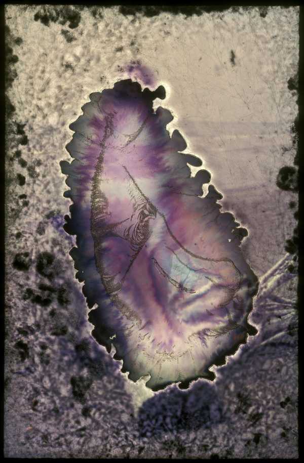 ‘Untitled (III)‘, Anna Barriball, 2006 | Tate
