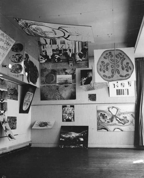 Photograph of installation view of Parallel of Life and Art exhibition ...