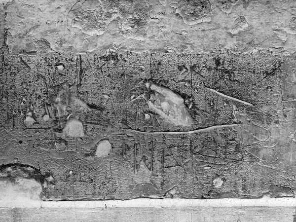 Photograph showing graffiti on walls‘, Nigel Henderson‘, Nigel ...