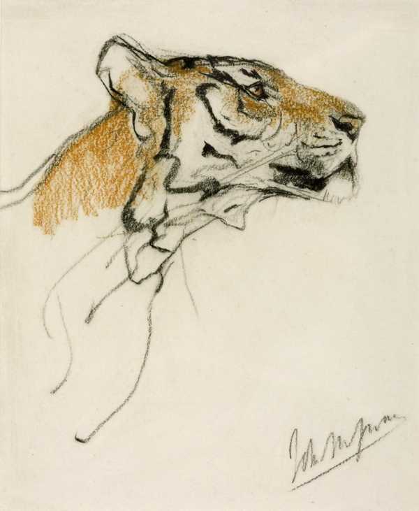 ‘Head of a Tiger‘, John Macallan Swan | Tate