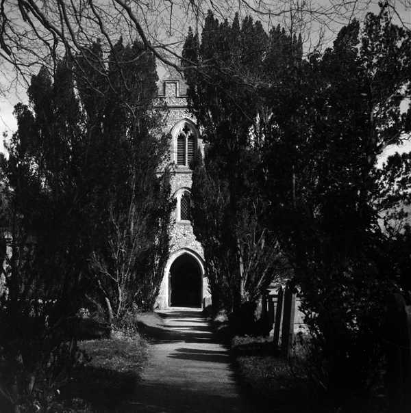 Photograph All Saints Church in Winterslow, Wiltshire, viewed through ...