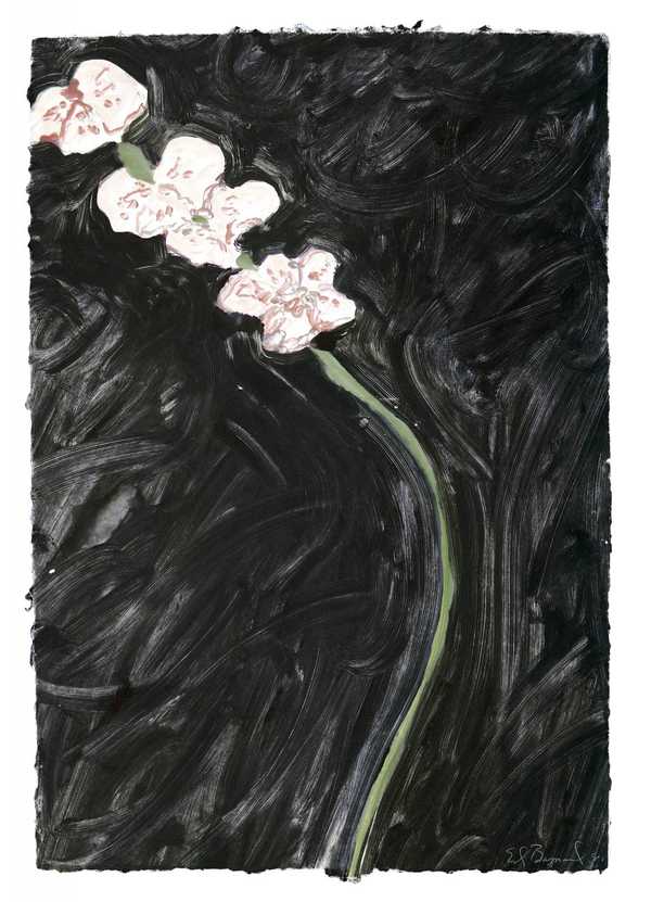 Ed Baynard 1940–2016 | Tate