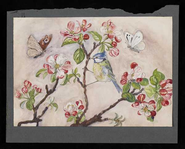 Watercolour titled ‘Flowers’‘, Ithell Colquhoun, June 1920‘, Ithell ...