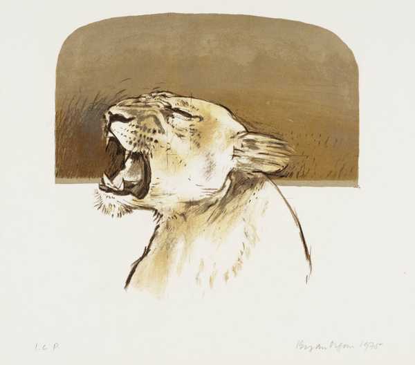 ‘3. Lioness‘, Bryan Organ, 1974 | Tate