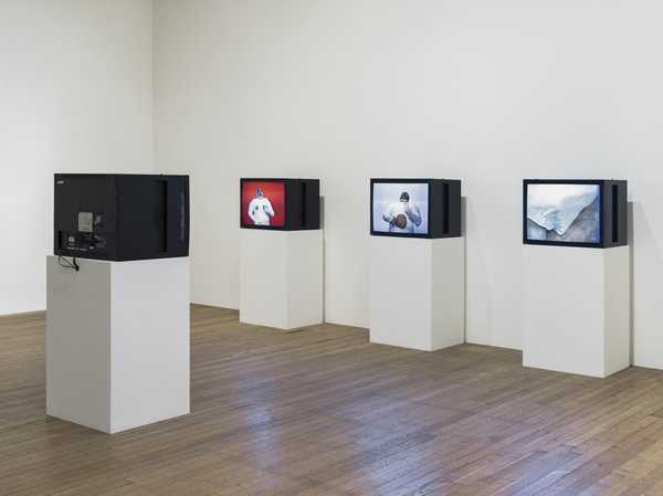 Carlos Leppe 1951–2015 | Tate