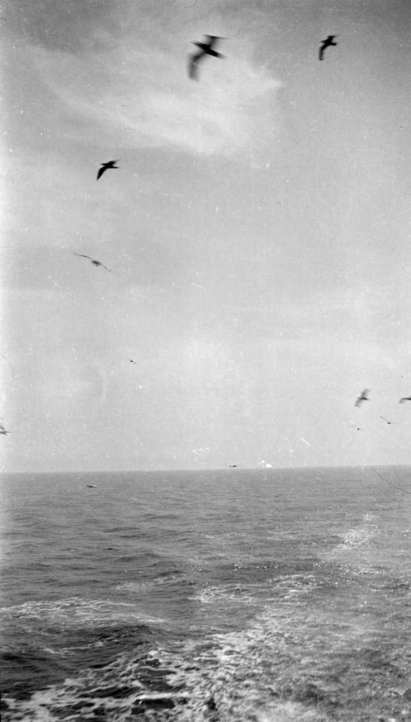 Black and white negative, ship’s wash, Atlantic trip‘, Paul Nash, 1931 ...