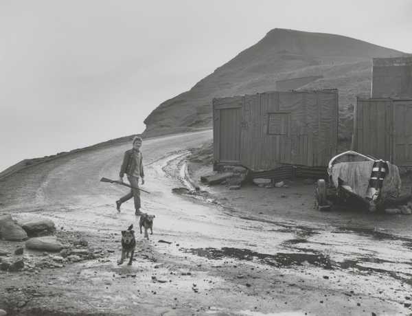 ‘Leso with his dogs and a gun, Skinningrove‘, Chris Killip, 1983 ...
