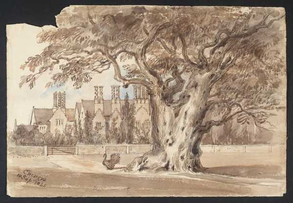 title not known]‘, Lady Susan Elizabeth Percy | Tate