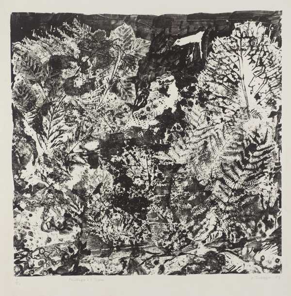 ‘Leaves with Bird‘, Jean Dubuffet, 1953 | Tate