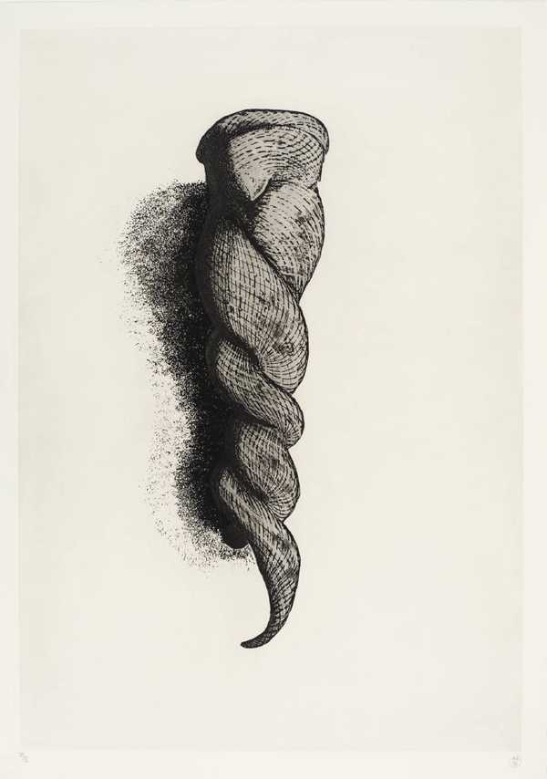 ‘Another Curious Carrot‘, Richard Deacon, 1991 | Tate